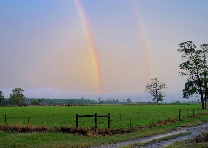 Rainbow Facts Explained Simply Science History Meaning - Holiday To USA